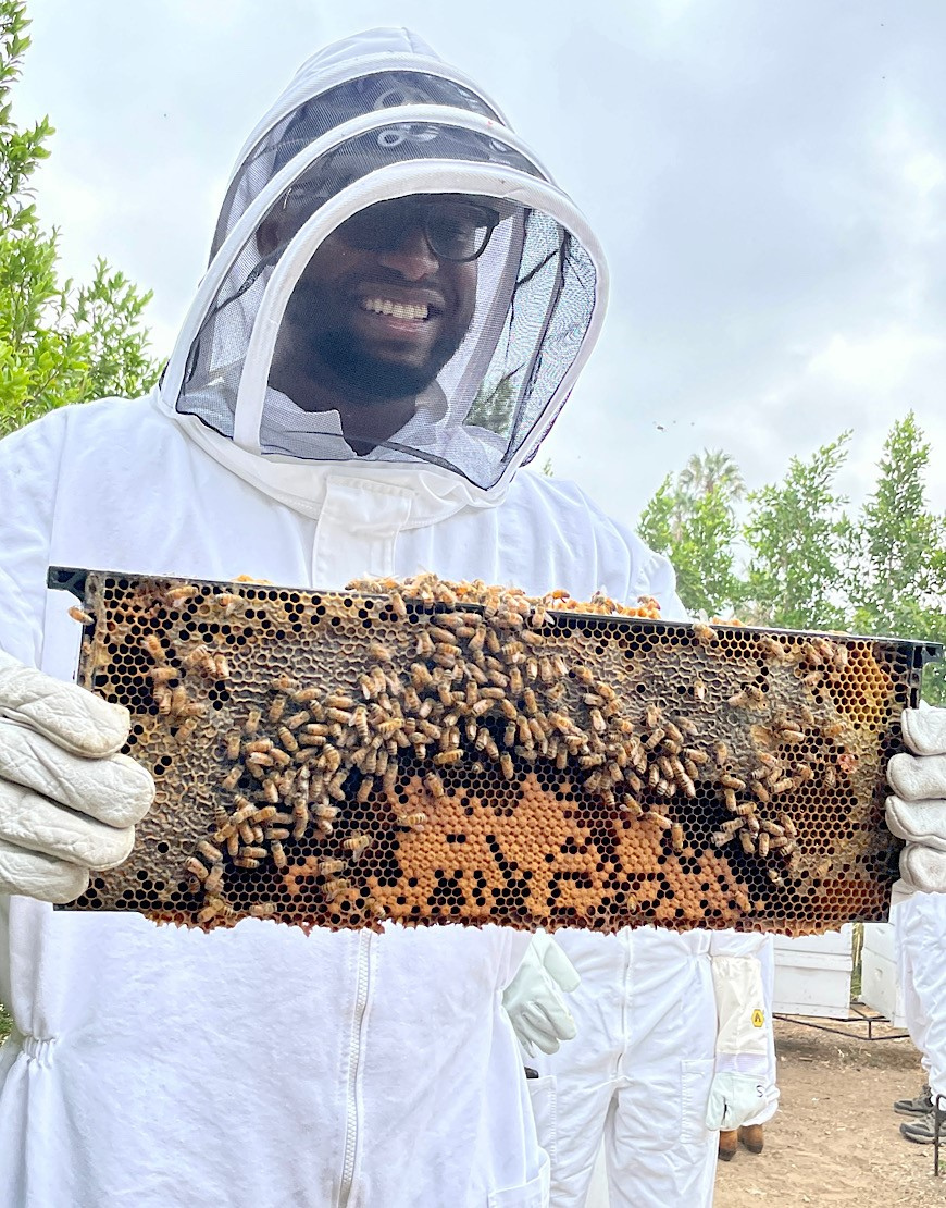 The Valley Hive Beekeeping Experience June 21, 2026 – TheValleyHive