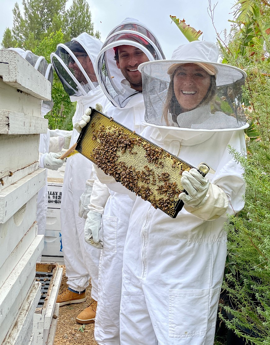 The Valley Hive Beekeeping Experience August 18, 2024 – TheValleyHive